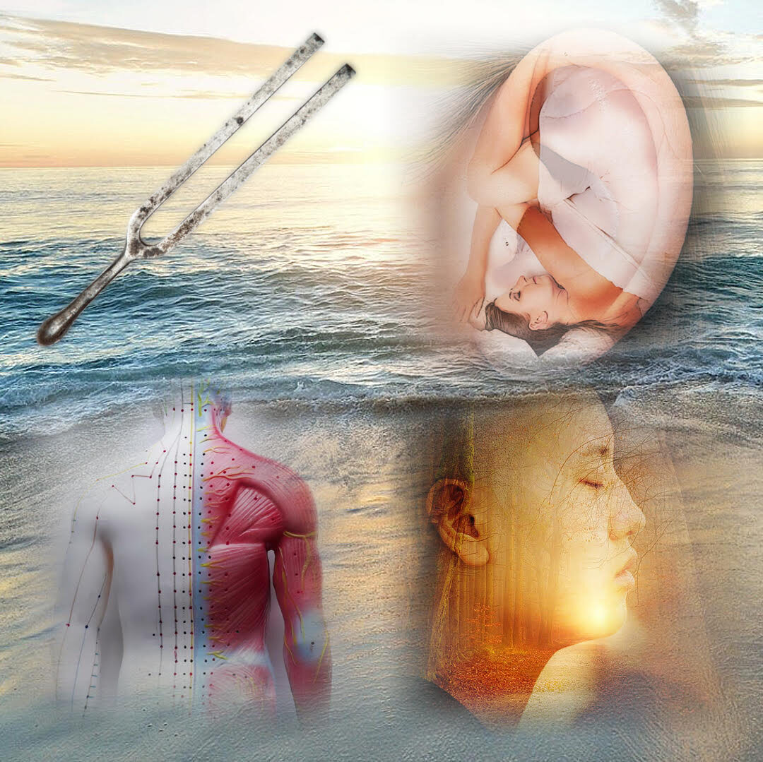diapasons-e-learning-module-1-a-la-carte - Sonologie